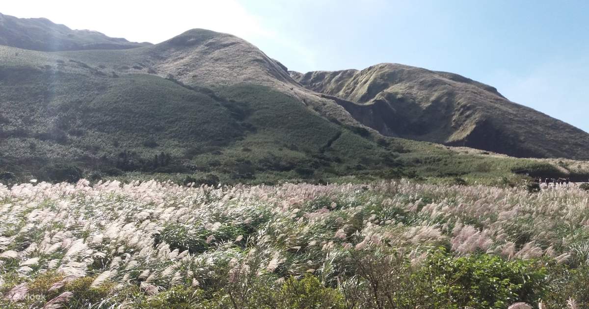 【春日赏樱】北投 And 阳明山一日游 Klook客路